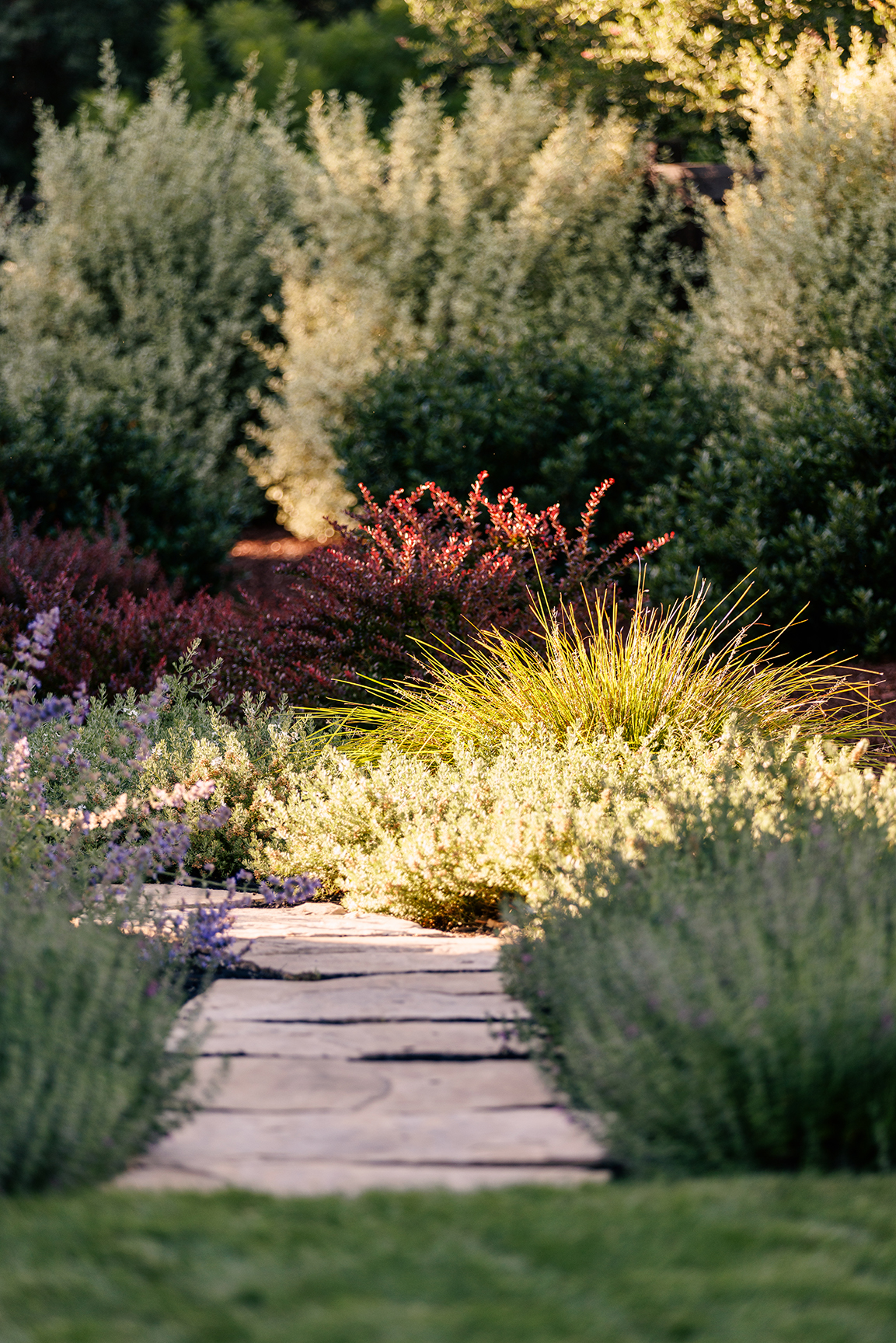 Valley Brook – David Thorne Landscape Architect