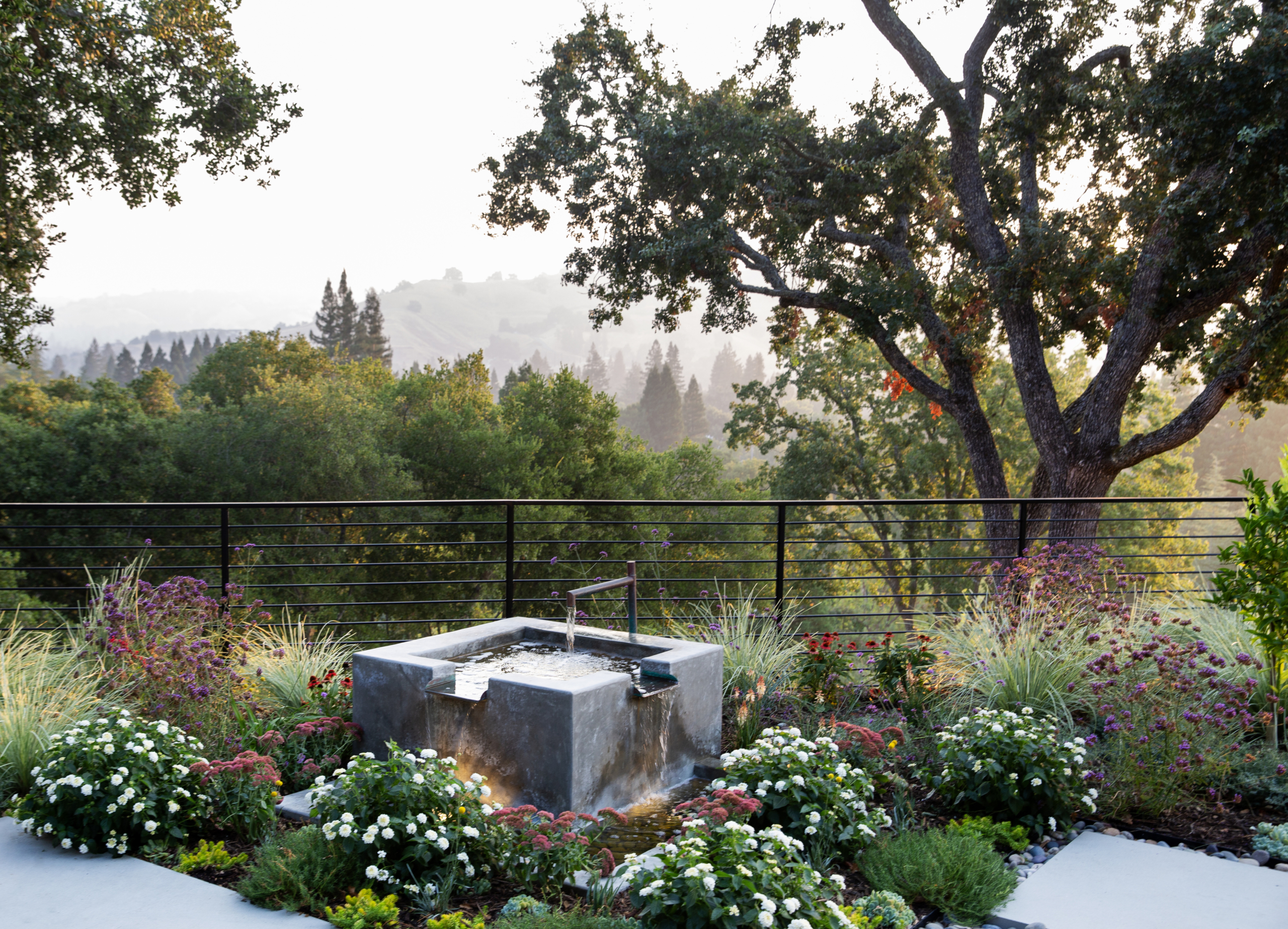 Westside Diablo – David Thorne Landscape Architect