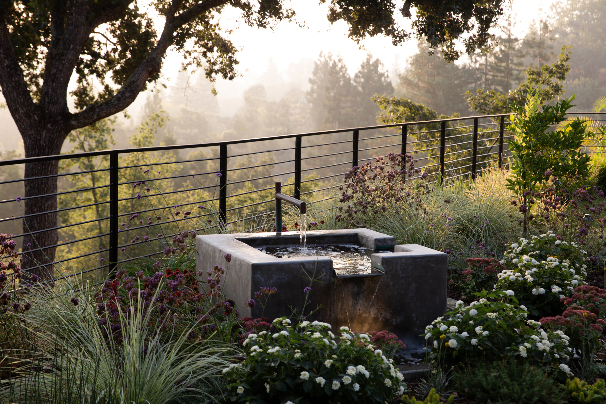 Westside Diablo – David Thorne Landscape Architect